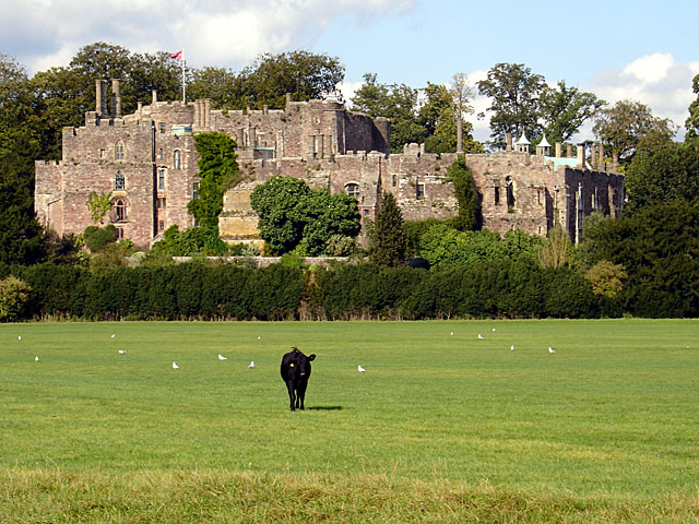 Berkeley Castle, Gloucestershire | British Attractions