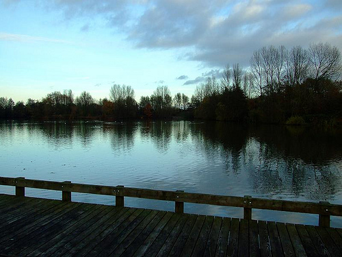 Ryton Pools Country Park | British Attractions
